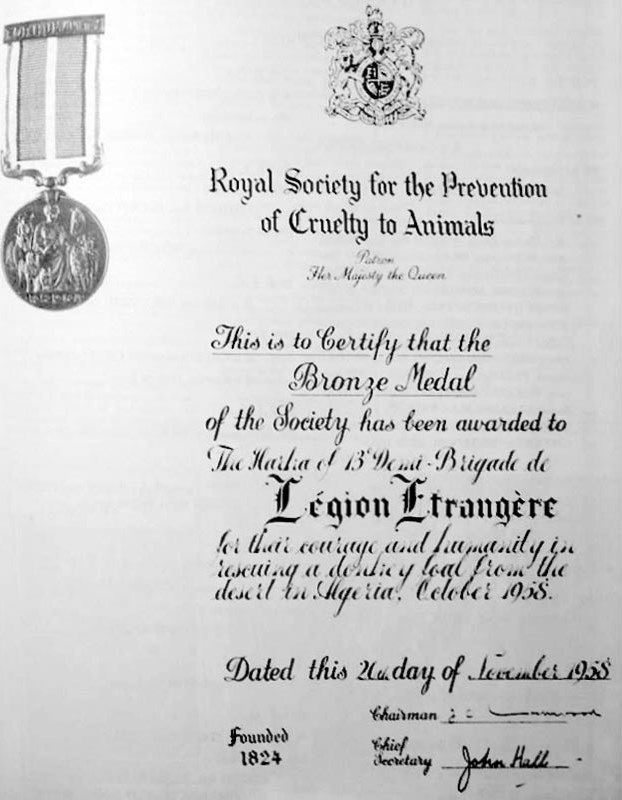 NOT a donkey being carried across a minefield – Fake History Hunter
