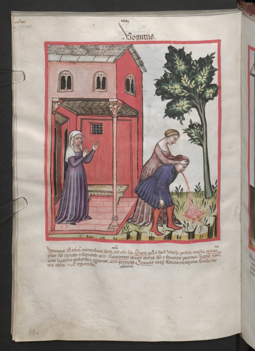 NOT medieval women poisoning their husbands – Fake History Hunter